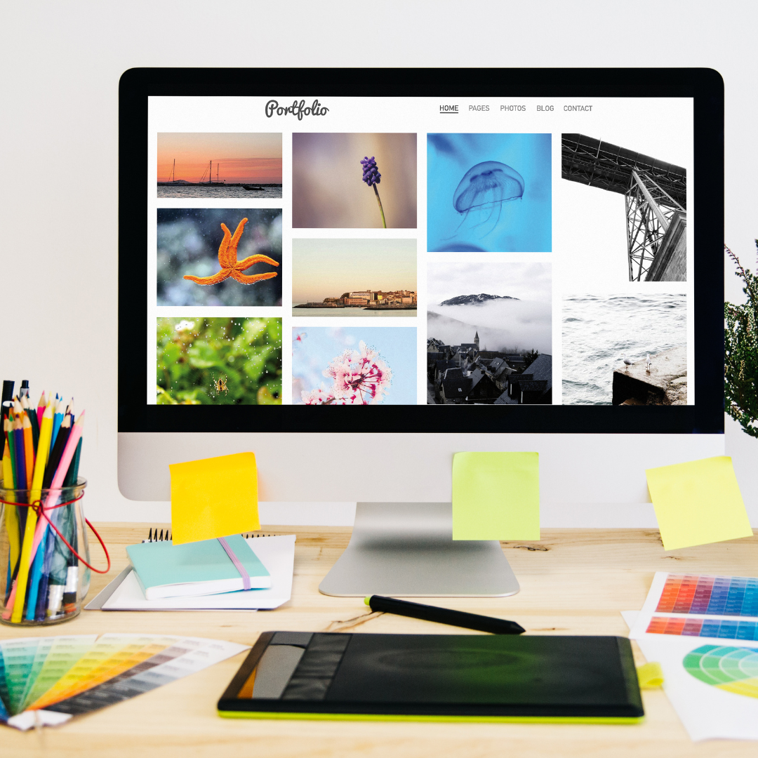 How to Build a Professional Portfolio While Still in College | triOS ...
